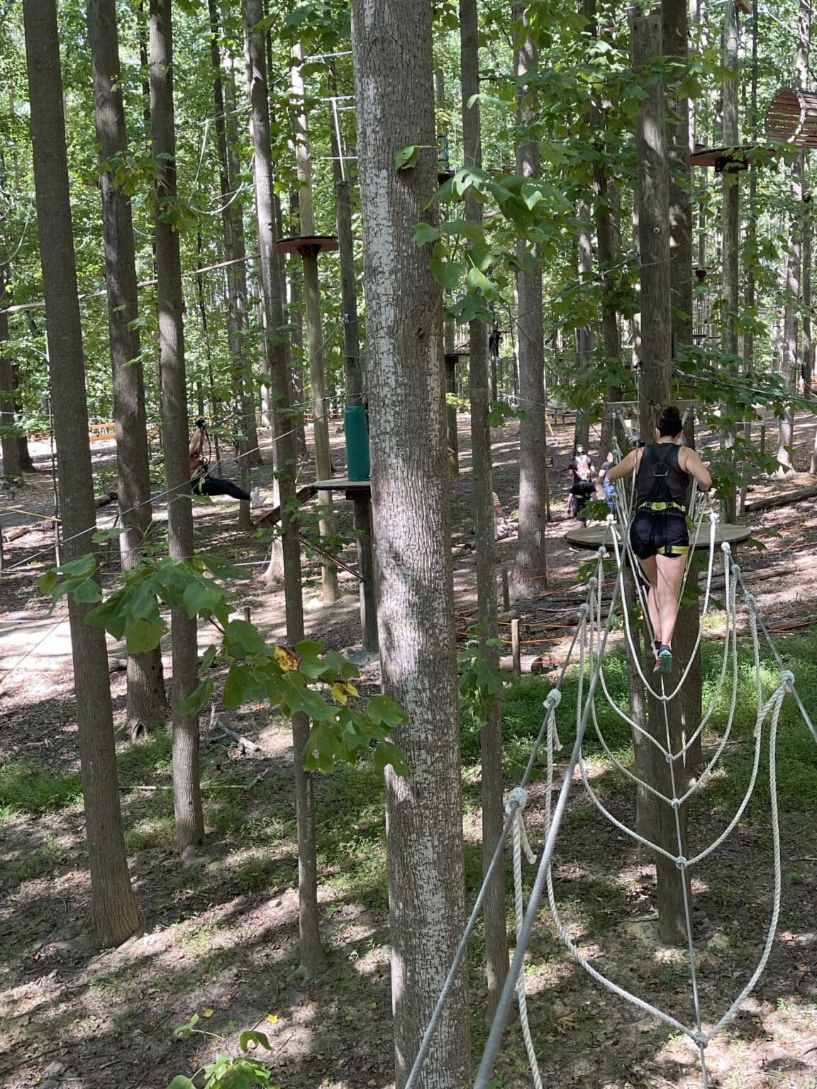 Tree Trekkers: Maybe the Most Fun Activity in Frederick for Kids and ...