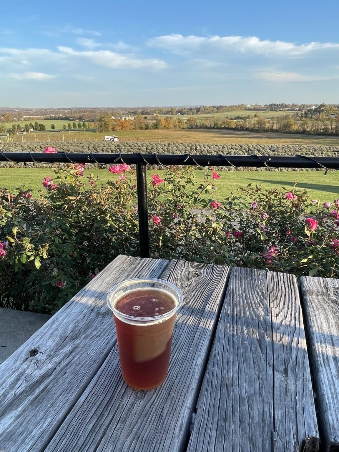 The Striking Reason We Keep Returning to Springfield Manor Winery and ...