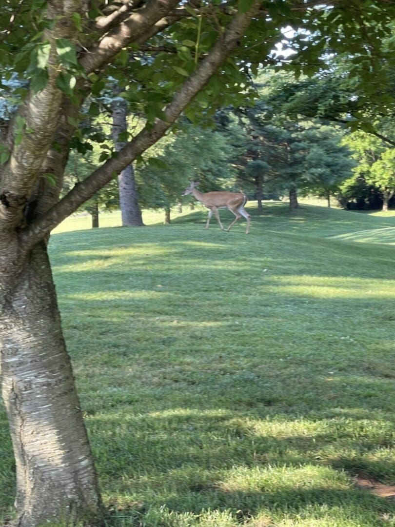 Clustered Spires Golf Course: Frederick’s “Home” Course | EpicFrederick