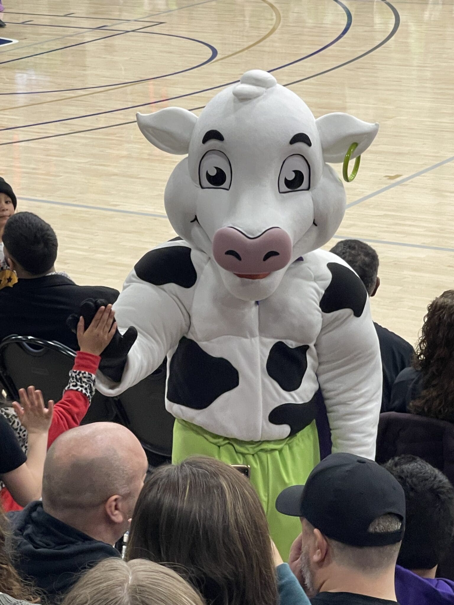 Frederick Flying Cows Pro Basketball: Complete Guide - EpicFrederick