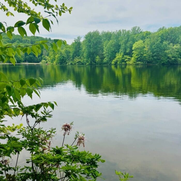 The Complete Guide to Cunningham Falls State Park | EpicFrederick