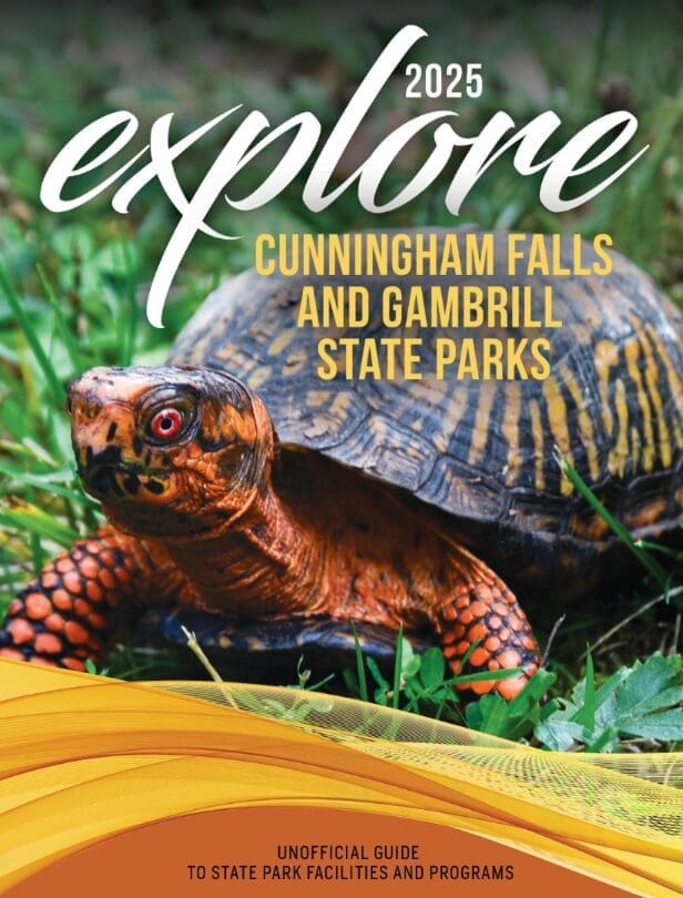 The Complete Guide to Cunningham Falls State Park | EpicFrederick